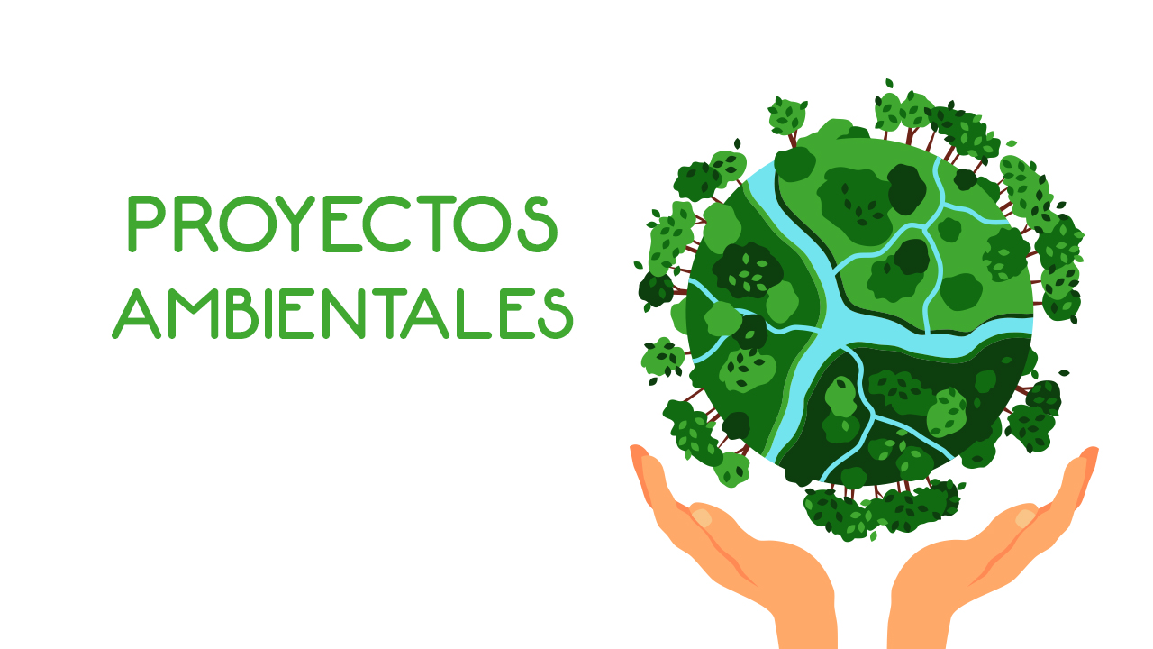 Proyectos Ambientales – Women For Biodiversity